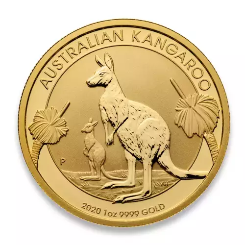 Australia Kangaroo Gold Coin - 1 oz | ABC Coin & Bullion - Canadian PMX